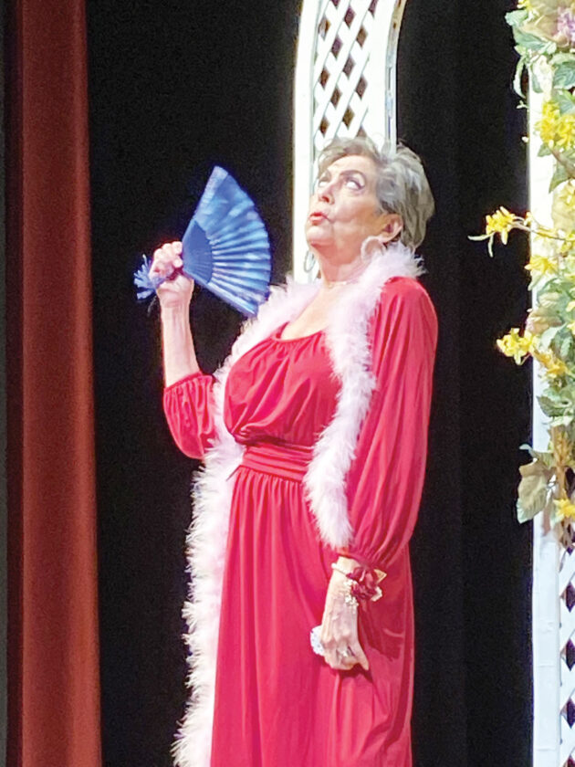 Mid-Ohio Valley officials, community groups hit Actors Guild stage for ...